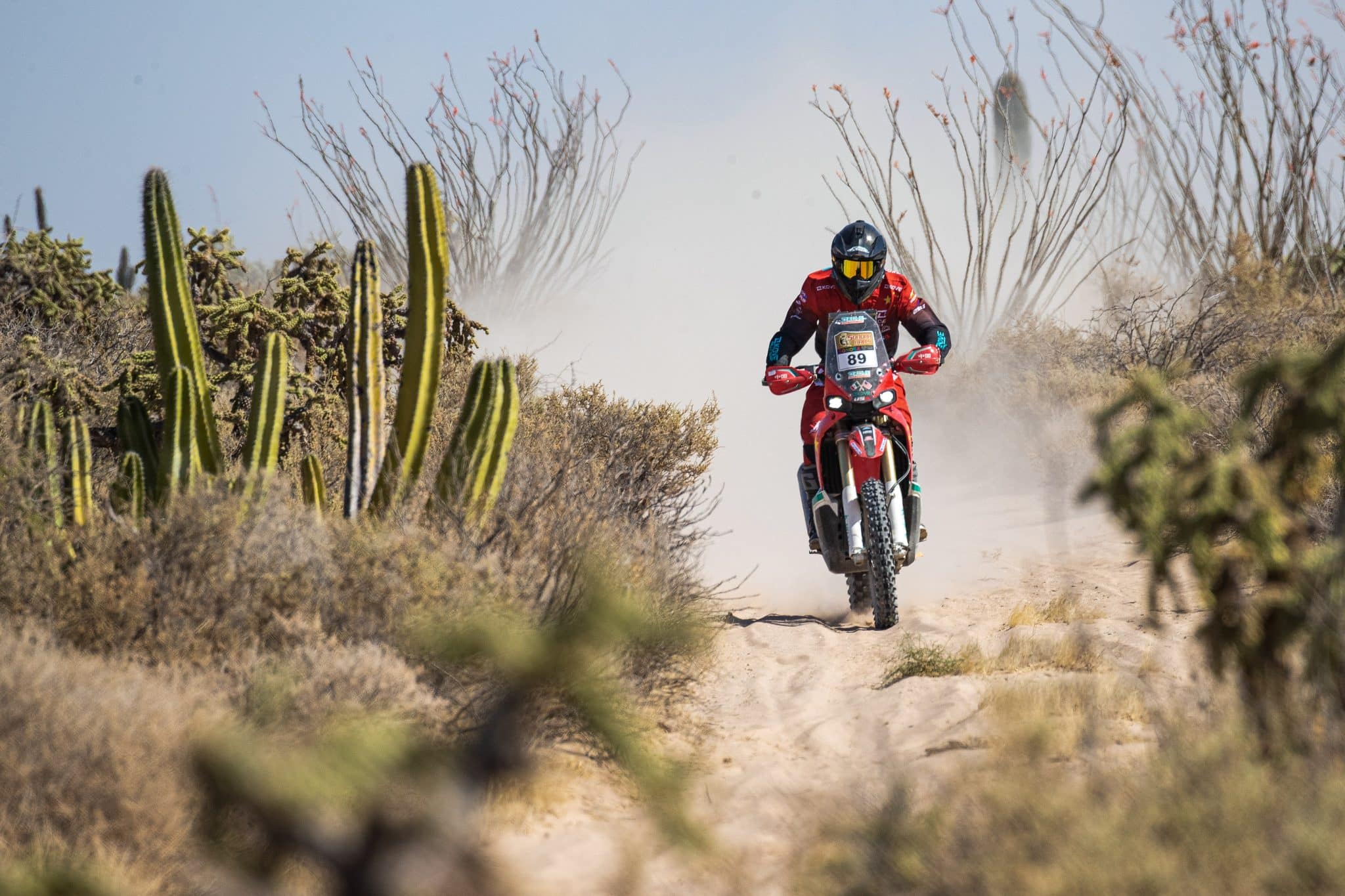 450 Rally Factory TRC - kove moto